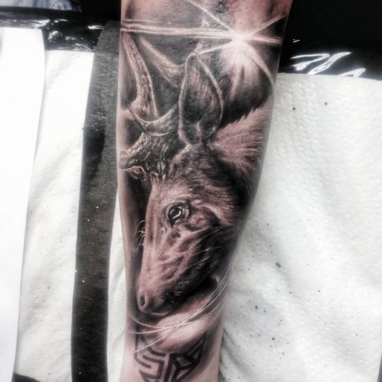 Tattoostudio 11 in Rust – Tattoo Spirit