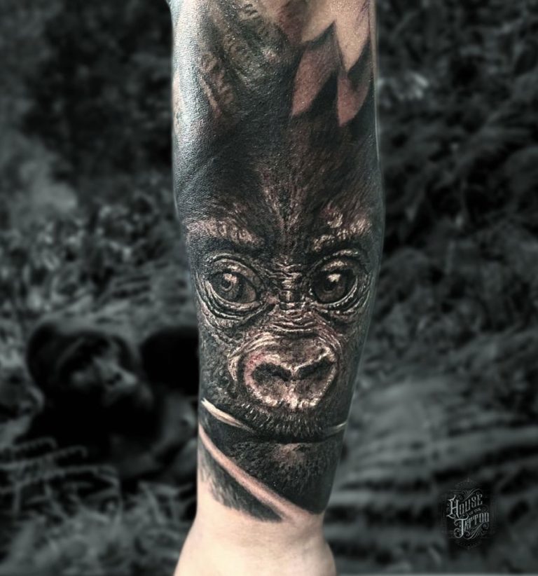 House of Ink Tattoo in Friedberg – Tattoo Spirit